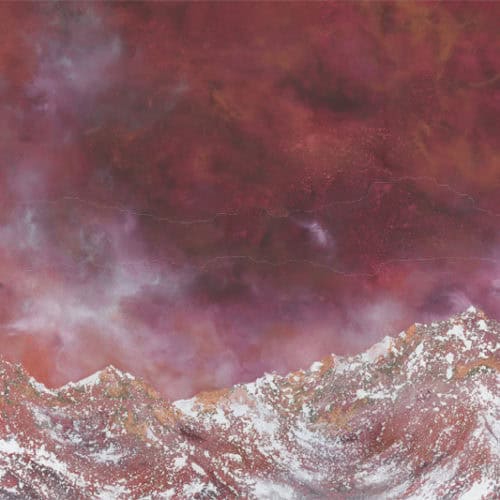 Evolution Print | Emily Scott Studios